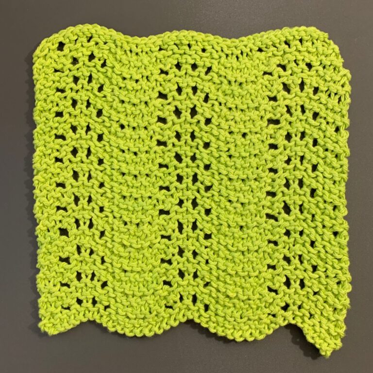 Wayne Dishcloth – Smells Like Yarn